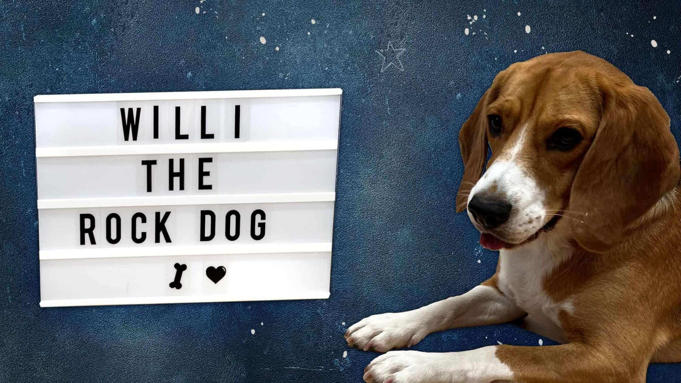 Willi - The Rock Dog | ROCK ANTENNE Österreich